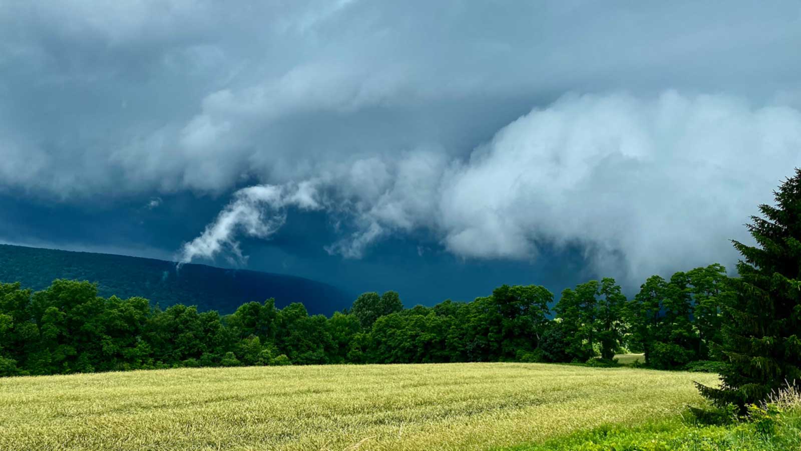 “A Storm Is Coming!” – MAST Mentorship